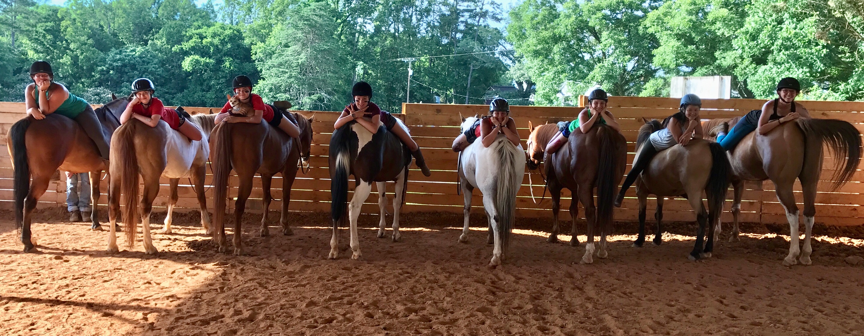 Chestnut Ridge| Horses| Efland, NC