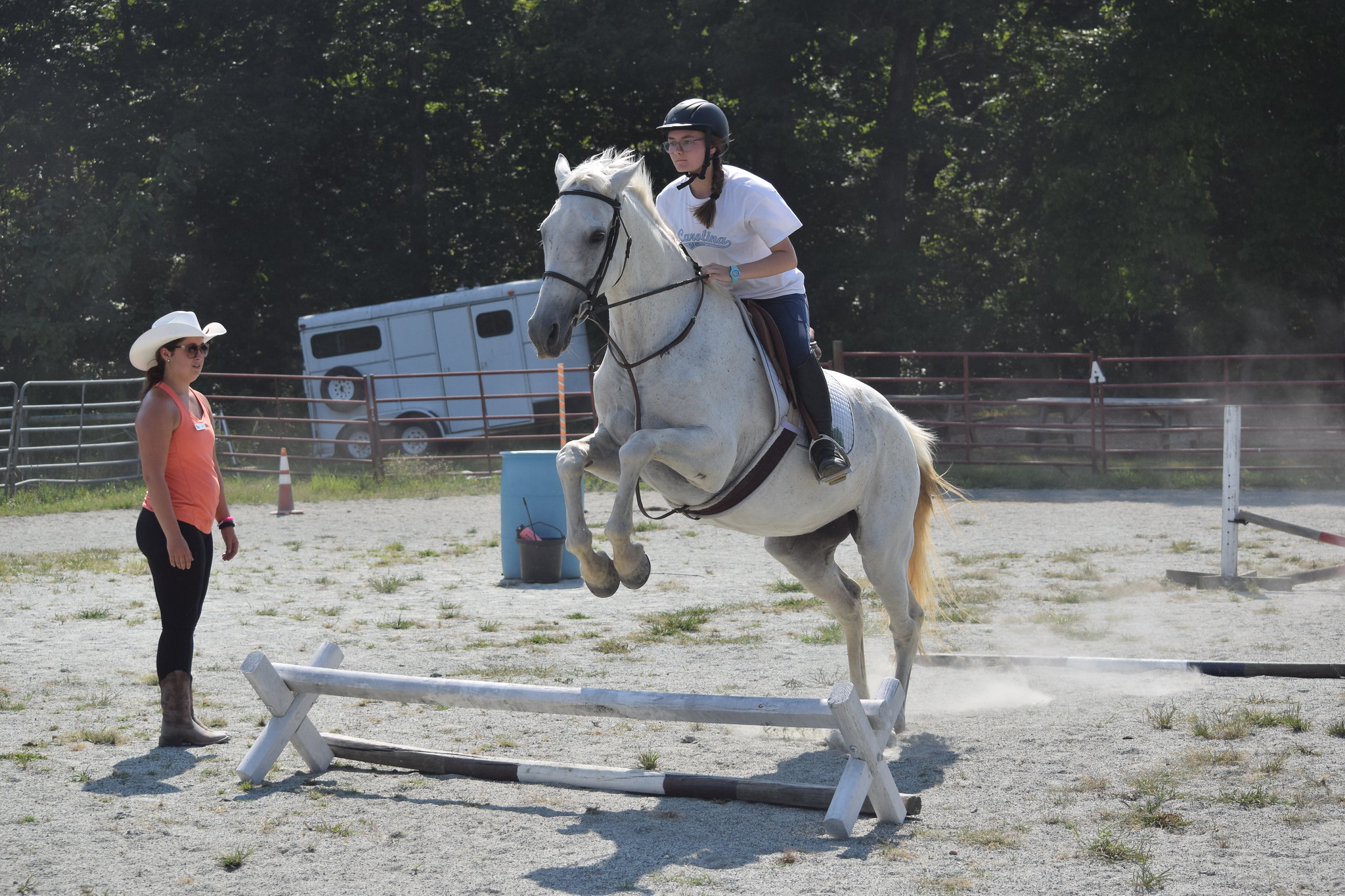 Chestnut Ridge| Horses| Efland, NC