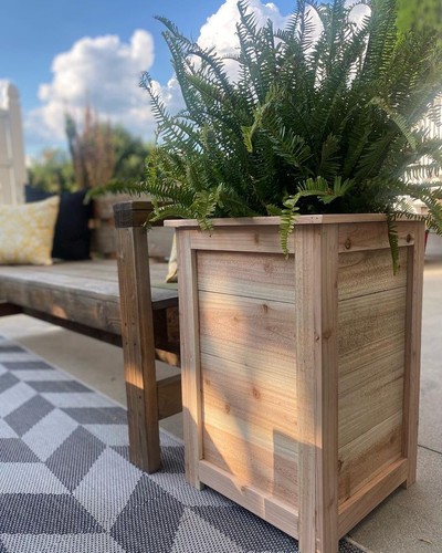 Tall Straight Line Planter | Black Phoenix