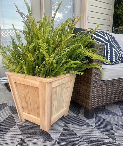 Traditional Planter | Black Phoenix