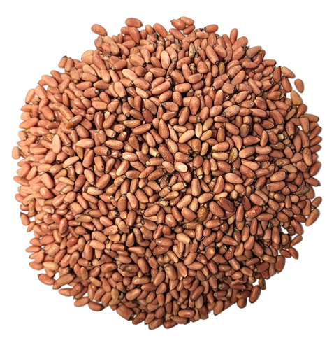 Piñon Rosa | Candy Rico