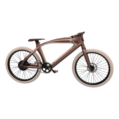 Rayvolt eXXite X One electric bicycle | E Bike A Go Go