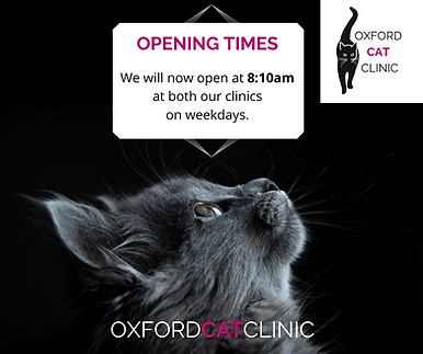 Oxford Cat Clinic - Vet in Oxford