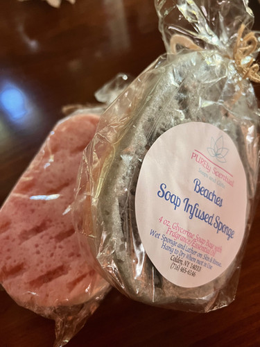 Tri Color Soap Infused Sponge | PUREly Scentual