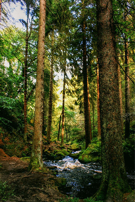 About Me | Mikaela Korth Massage & Holistic Therapy | Seaton Delaval