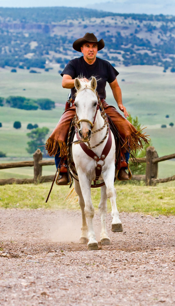 Spanish Barb Horse Association | spanish barb
