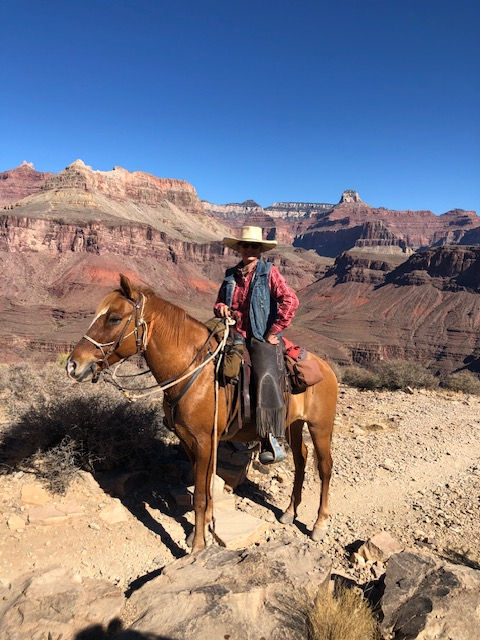 Spanish Barb Horse Association | spanish barb