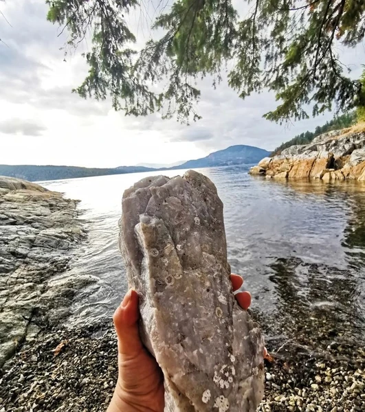 Courses | Tinaya Rae