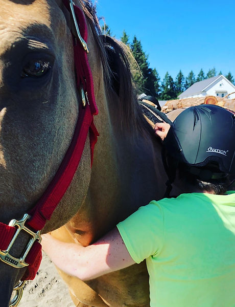 Programs | Rainy Day Ranch Therapeutic Riding Center