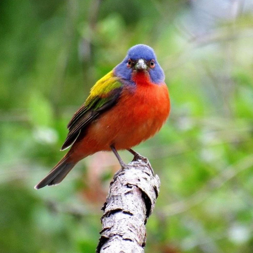 Thoughts Create Reality