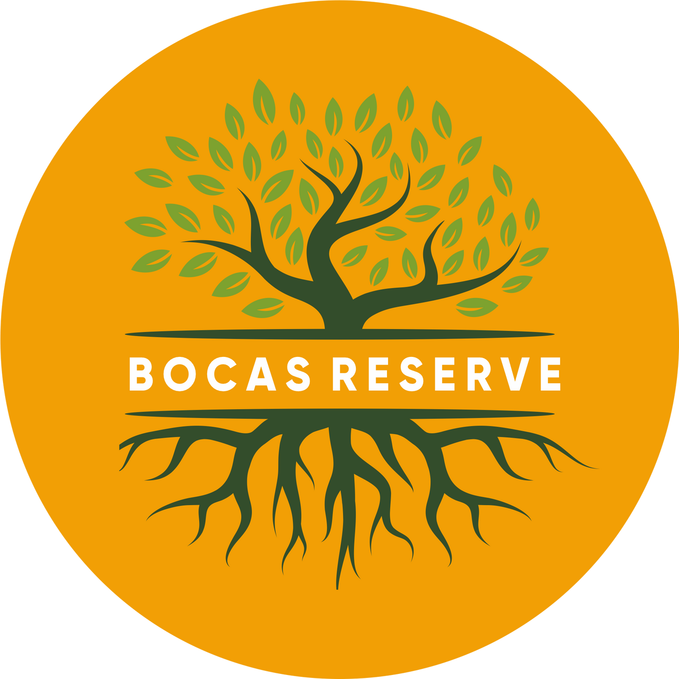 Panamá Reserve Community | Proyectos sostenibles con el ambiente