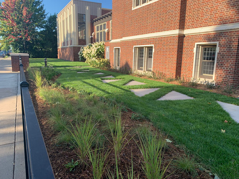 Hosmer Library | Damon Farber