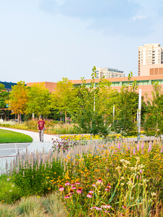 Hosmer Library | Damon Farber