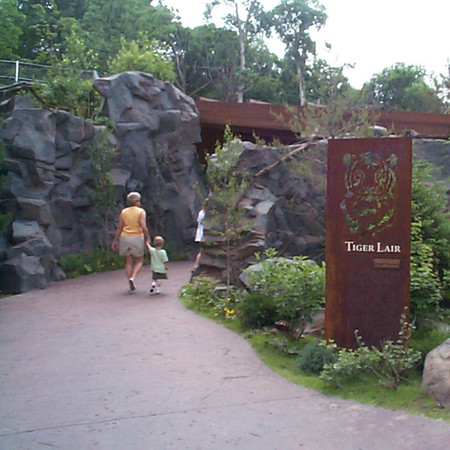 MN Zoo Tiger Lair Exhibit | Damon Farber
