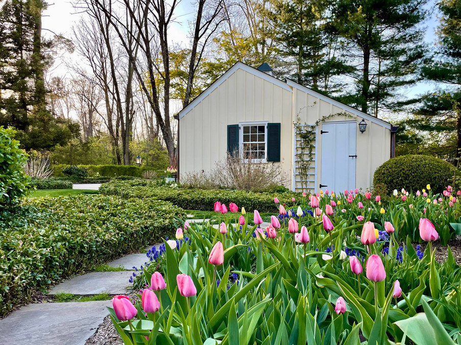 Home | Cape Cottage Garden