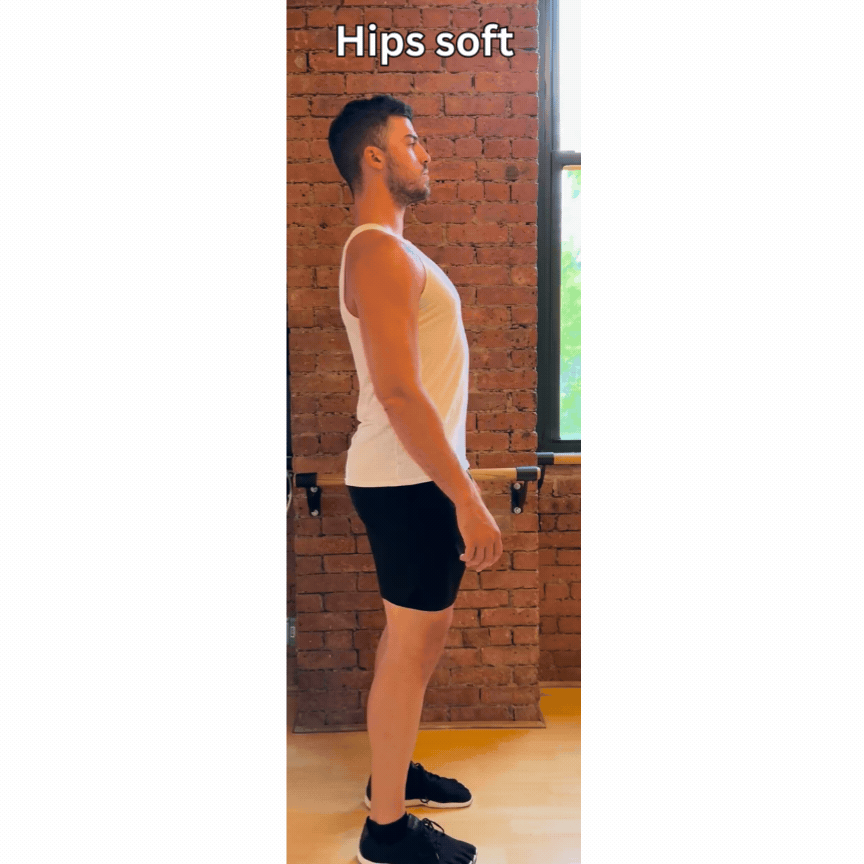 Better Posture Daily Workout Routine