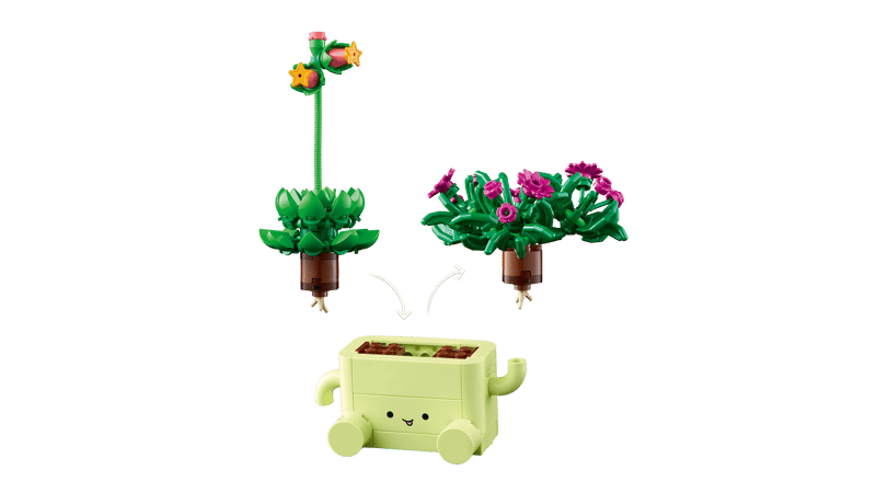 LEGO Botanicals 11506 Rocking Plants Officially Revealed | May 2026