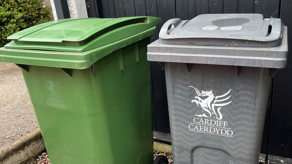 Green-bin collections will be year-round