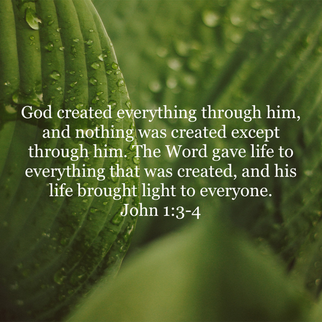 April 24, 2023 - John‬ ‭1‬:‭3‬-‭4