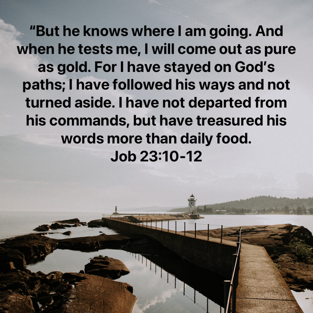 February 7, 2022 - Job‬ ‭23:10-12