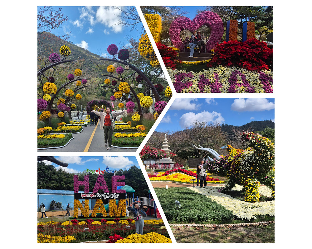 The Haenam Minam Festival: A Taste of Korea's Beautiful South
