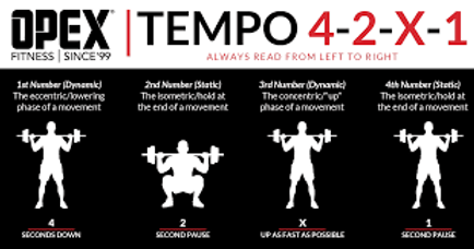 Tempo Lifting: Unveiling the Impact on Muscle Growth and Strength ...