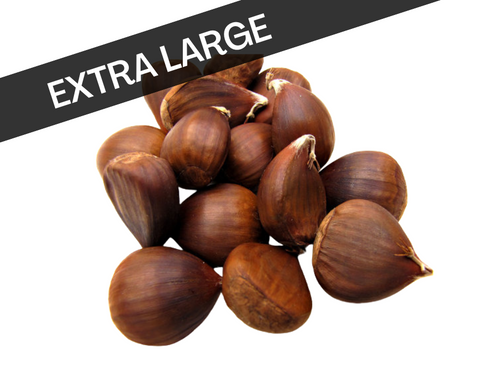 Extra Large Chestnuts, 7.5# Bag - $7.60/lb. | Valley Chestnuts