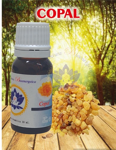 ACEITE ESENCIAL DE COPAL | Mis sitios
