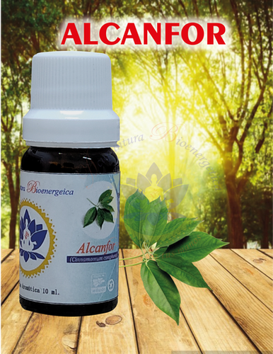 ACEITE ESENCIAL DE ALCANFOR 10ML | Mis sitios