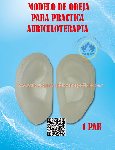 MODELO ANATOMICO DE OREJA 5.5 SILICONA PARA PRACTICA | Mis sitios