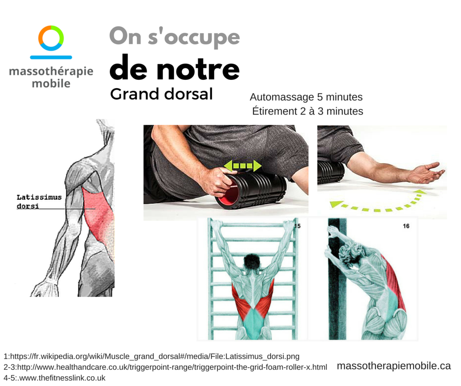 Muscler Le Grand Dorsal | Exercice Pour Le Dos Musculation – MGNAR
