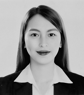 Our Team | Pinnacle Life Group