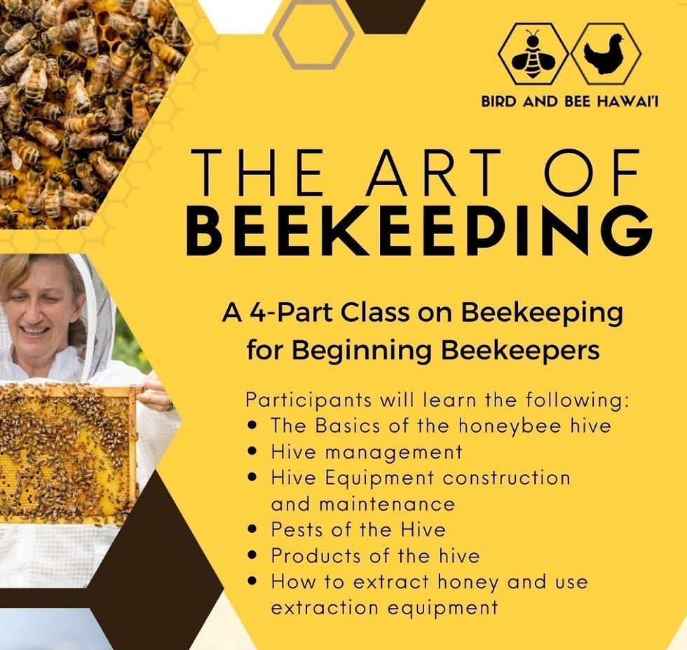 The Art of Beekeeping 4-Part Course Materials | Birdandbeehawaii