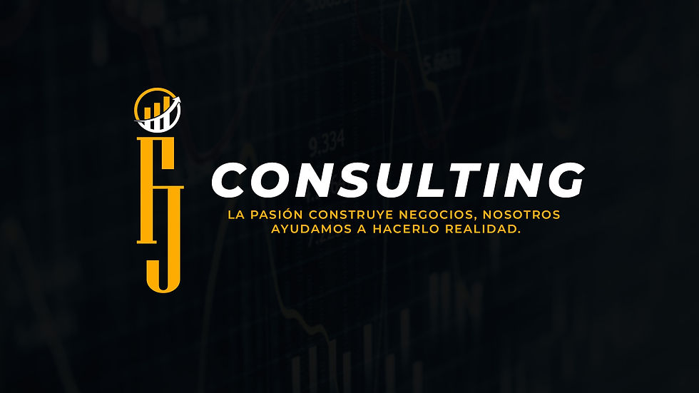 fjconsulting - auditoria
