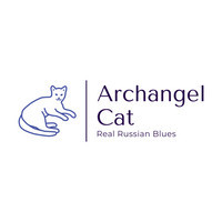 Russian Blue Kittens for Sale | Archangel Cat