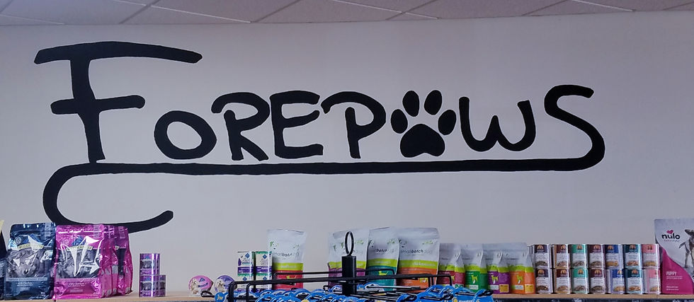 HOME | forepaws-minooka