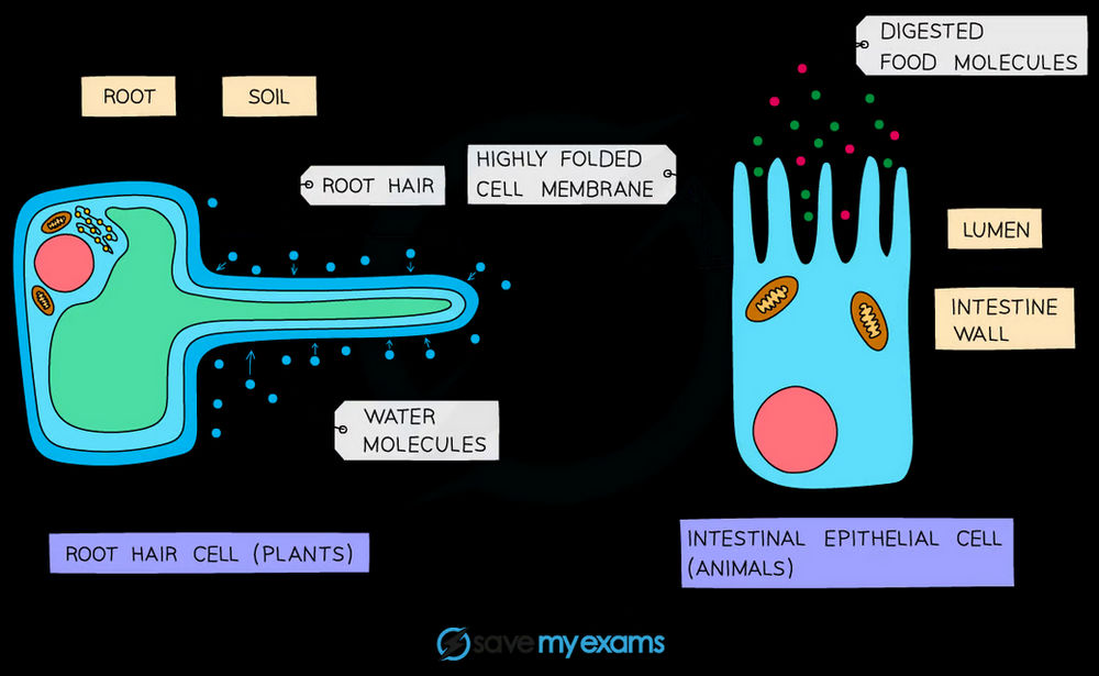 Factors that Influence Diffusion | Uyir