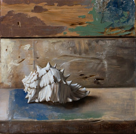 Oil Paintings | Katherine Stone