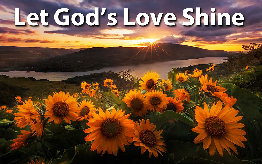 Finding Hope and Strength in AL-Anon Principles: Trusting in God's Plan