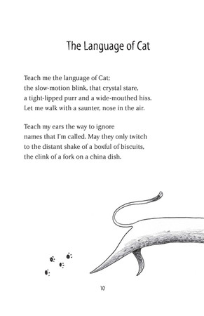 The Language of Cat