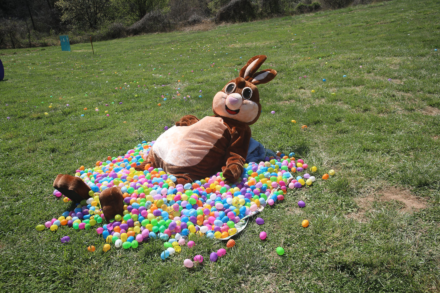 Maple Tree Farm | Family Fun | 8275 Maple Tree Ln, Warrenton, VA, USA