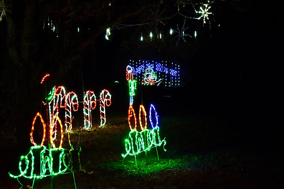 Maple Tree Farm | Family Fun | 8275 Maple Tree Ln, Warrenton, VA, USA