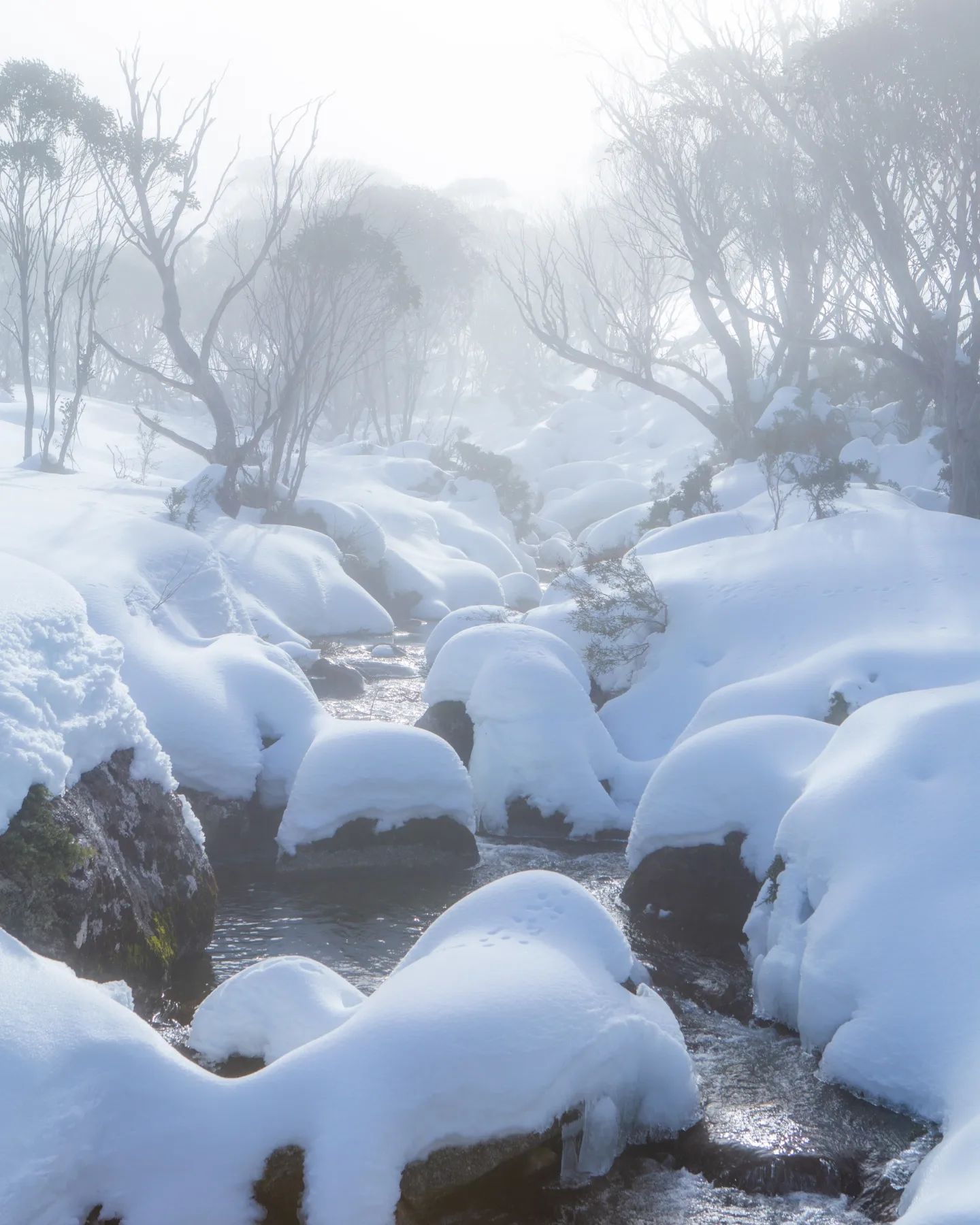 SNOWY MOUNTAINS | mjdphotos-march-2014