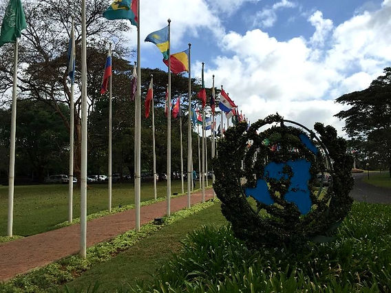 unep flag