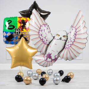 Harry Potter Hedwig Inflated Balloon Package | Pop Photo Ltd Co
