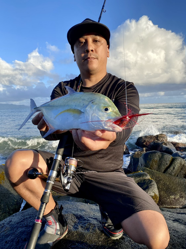 Baitfish- Menpachi | Maui Fly Co.