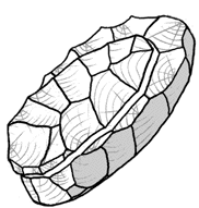 The Prepared Core Technology