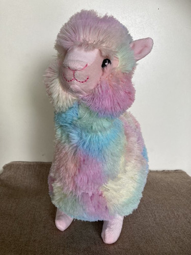 Rainbow Alpaca | Buckley-Estate