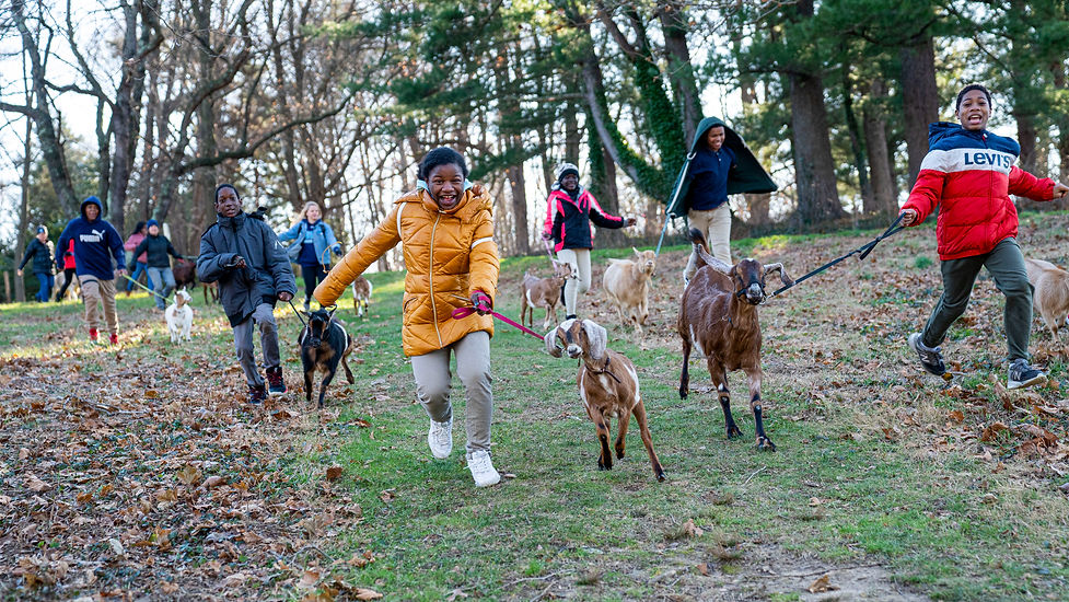 OUR STORY | Philly Goat Project