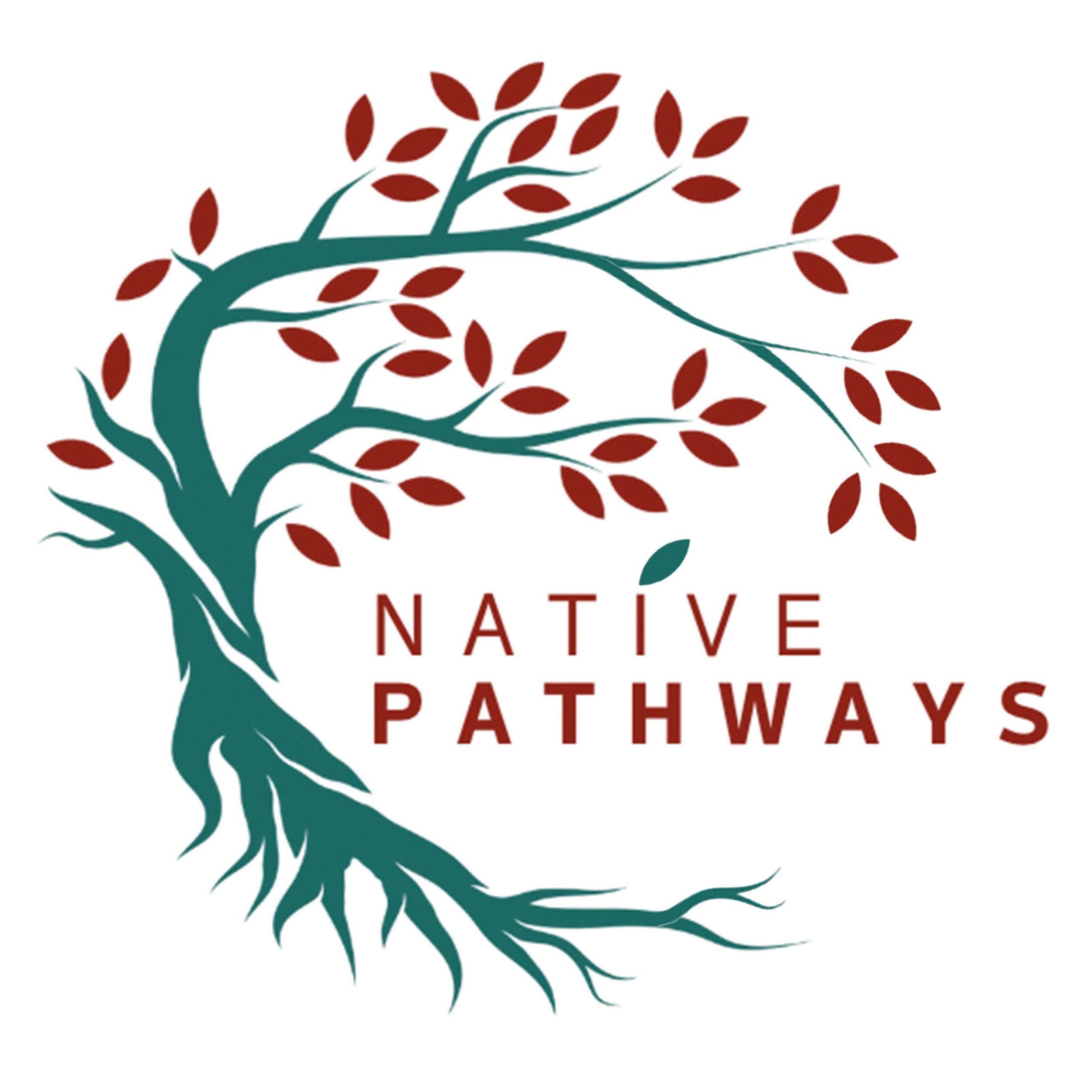 Native Pathways | Native Pathways art education culture